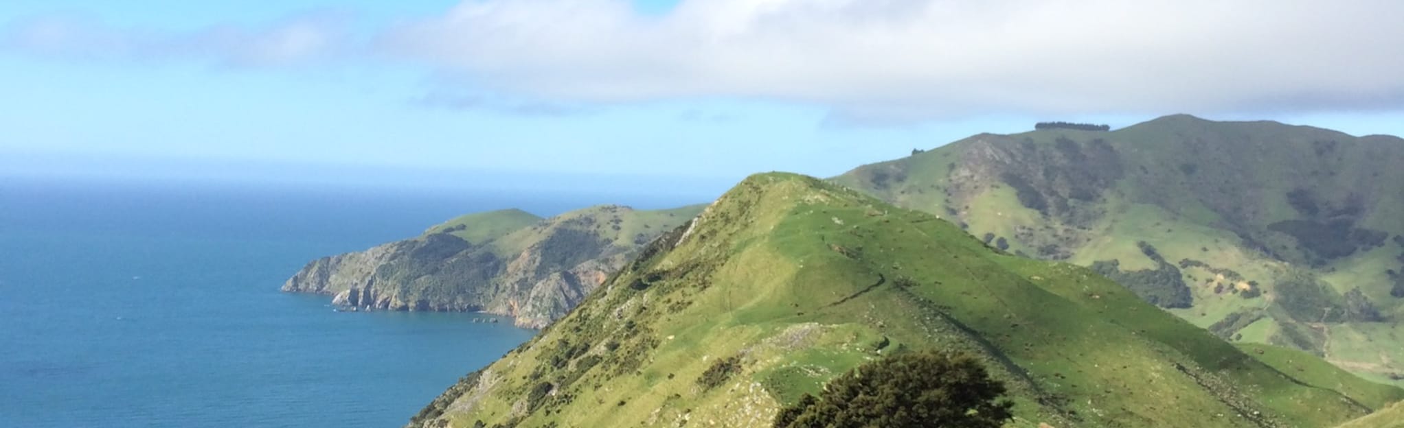 Cable Bay Walkway: 91 Reviews, Map - Nelson-Tasman, New Zealand | AllTrails