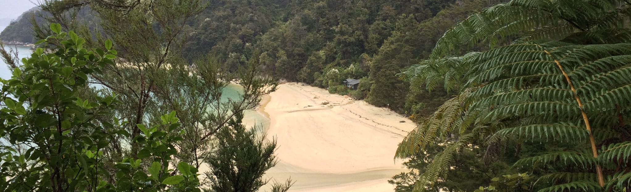 Yellow Point via Abel Tasman Coastal Track: 165 Reviews, Map - Nelson ...