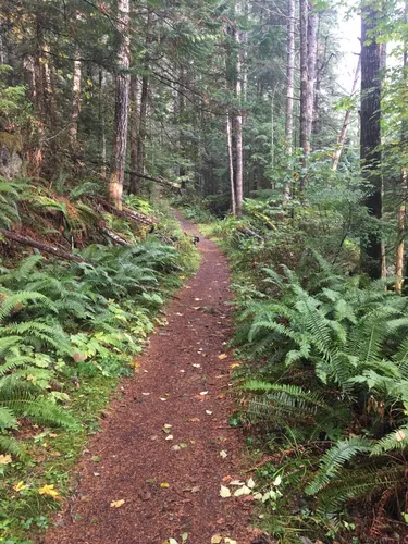 10 Best Snowshoeing Trails in Sooke Hills Wilderness Regional Park ...
