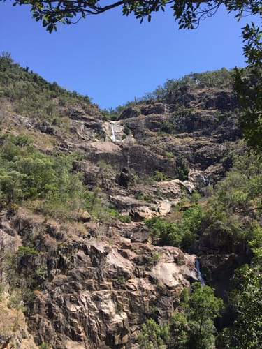Best 10 Hikes and Trails in Paluma Range National Park | AllTrails