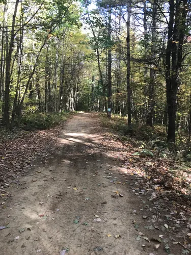 Best Hikes and Trails in Androscoggin Riverlands State Park | AllTrails