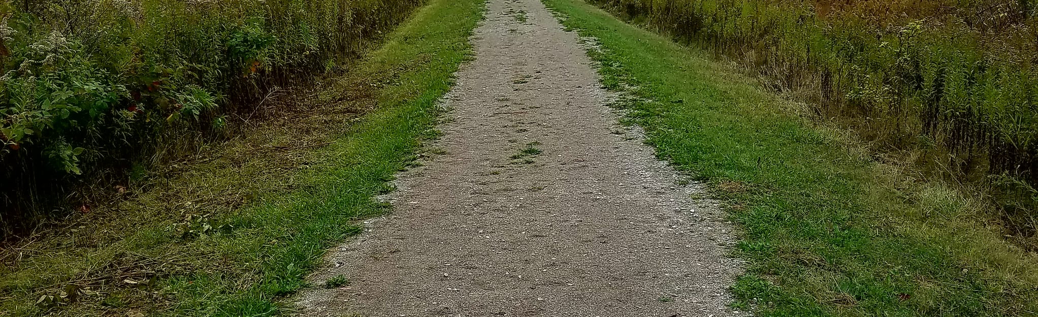 Mayfield Village Wetlands Trail: 57 Reviews, Map - Ohio | AllTrails