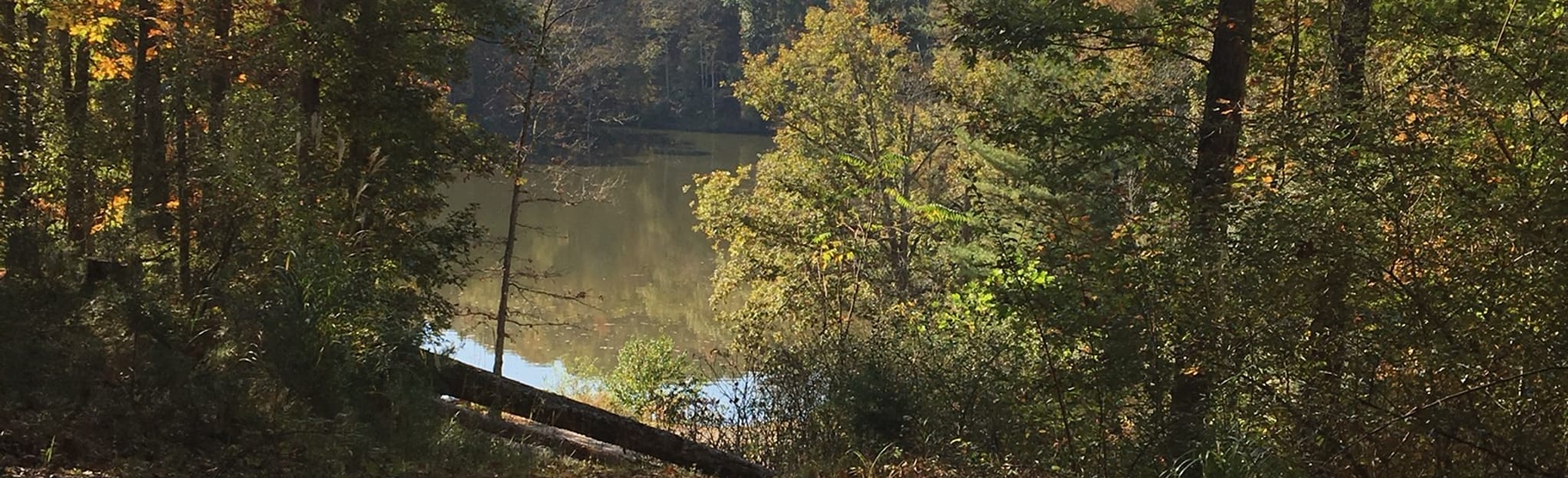 Mountwood Lake Trail Loop | Map, Guide - West Virginia | AllTrails