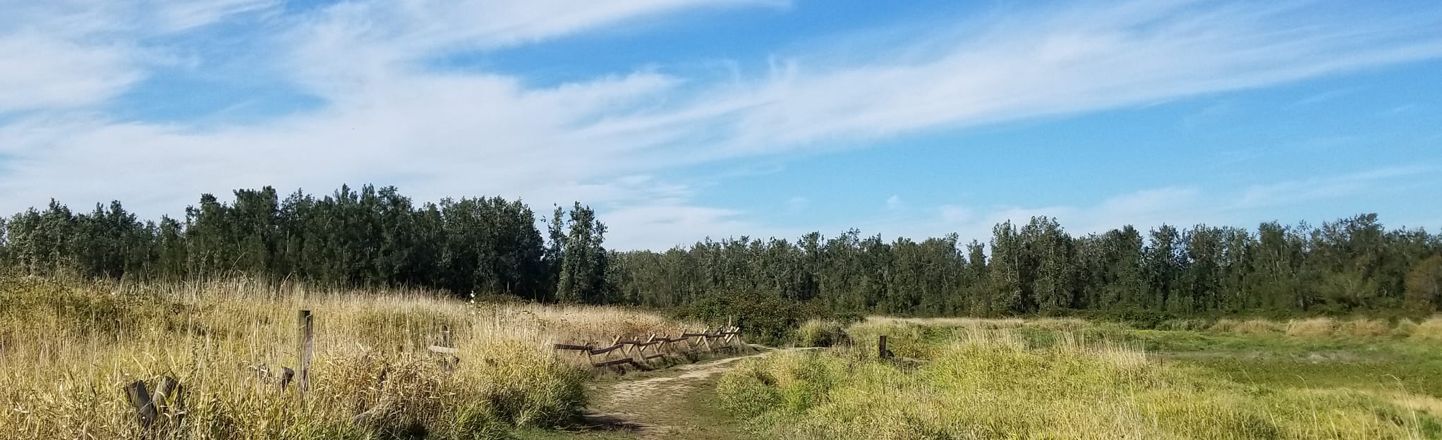 Sandy River Delta Boundary, Meadow and Old Channel Loop, Oregon - 234 ...