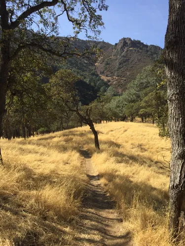 10 Best Waterfall Trails in Mount Diablo State Park | AllTrails