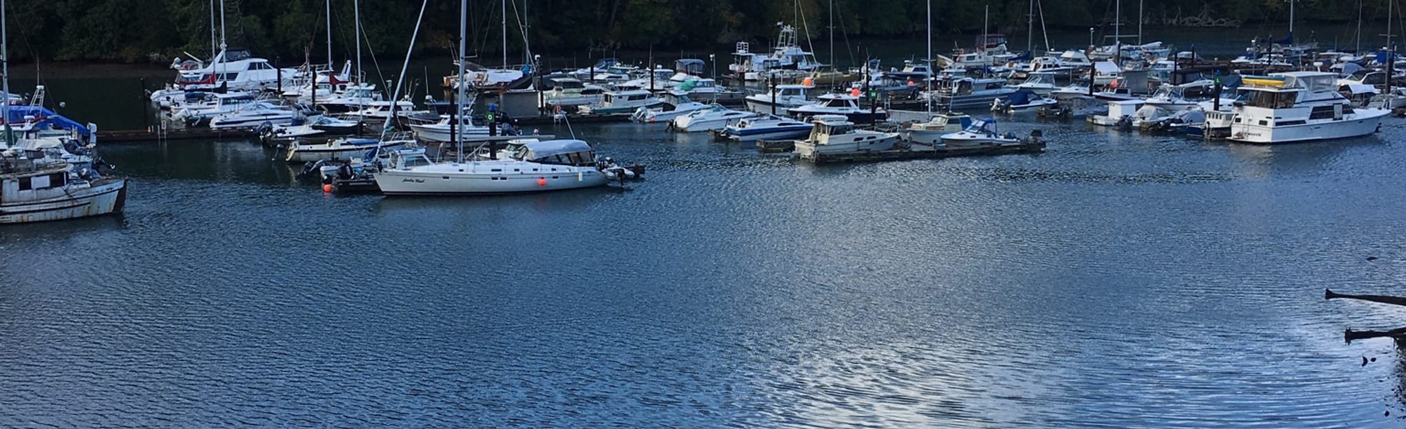 Pedder Bay via Libra Trail: 23 Reviews, Map - British Columbia, Canada ...