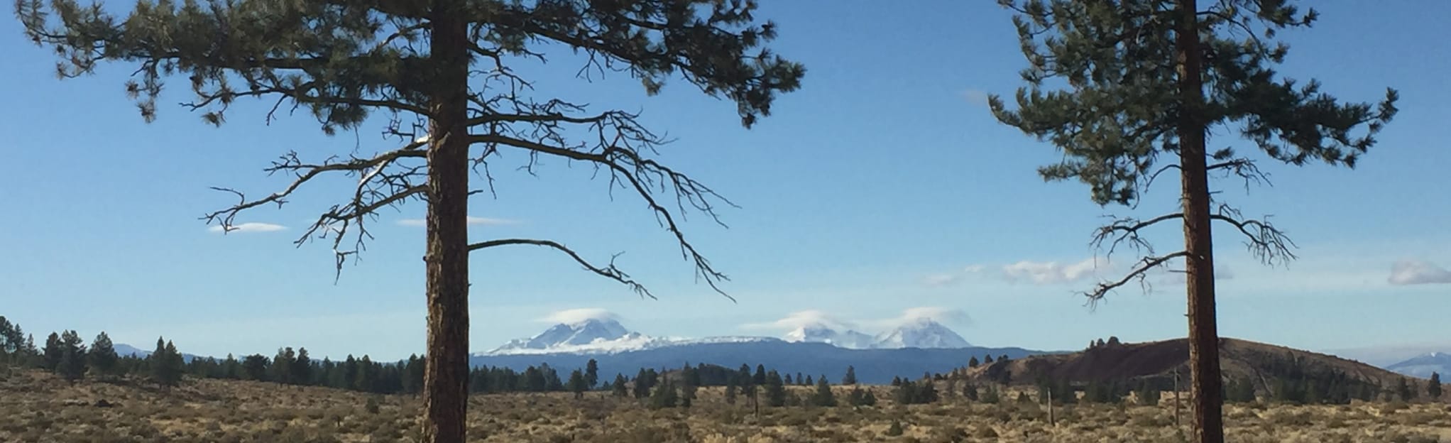 Boyd Cave, Oregon - 184 Reviews, Map | AllTrails