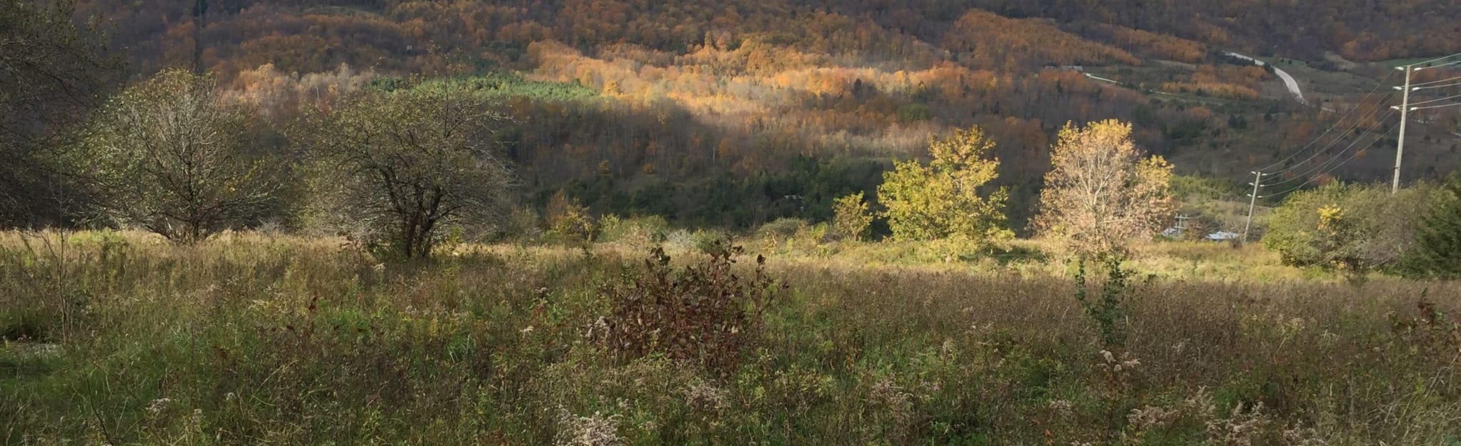 Bruce Trail Beaver Valley and Campbell's Hill, 243 Fotos - Ontario ...