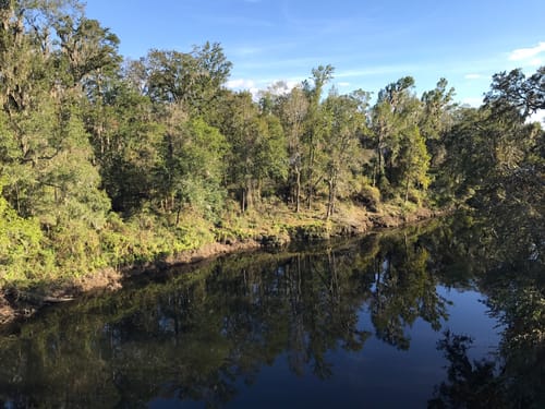 Best Hikes and Trails in Suwannee River State Park | AllTrails