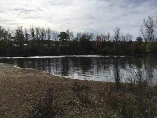 Best Hikes and Trails in High Acres Nature Area | AllTrails