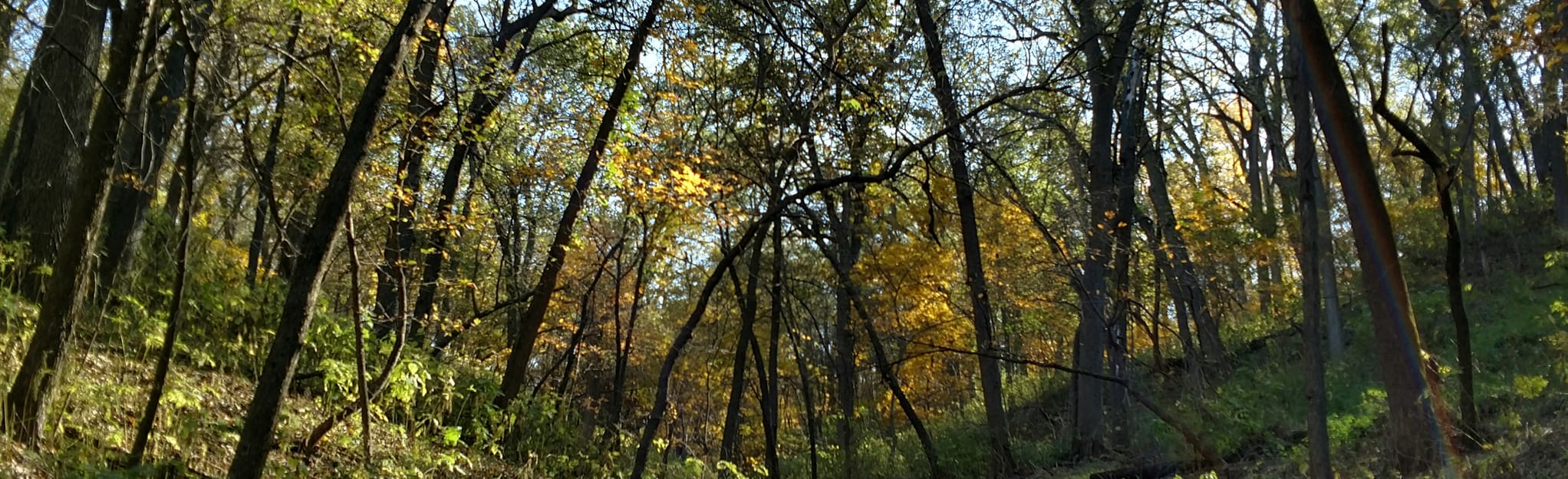 Pond, Prairie, Signal Ridge, Oak, Handsome Hollow and Stream Trail: 79 ...