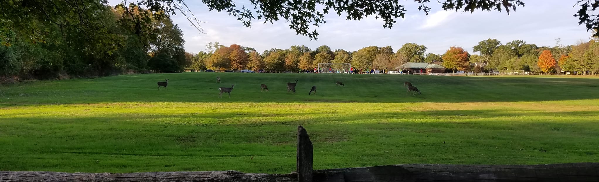 Joe Palaia Township Park Trails, New Jersey - 281 Reviews, Map | AllTrails