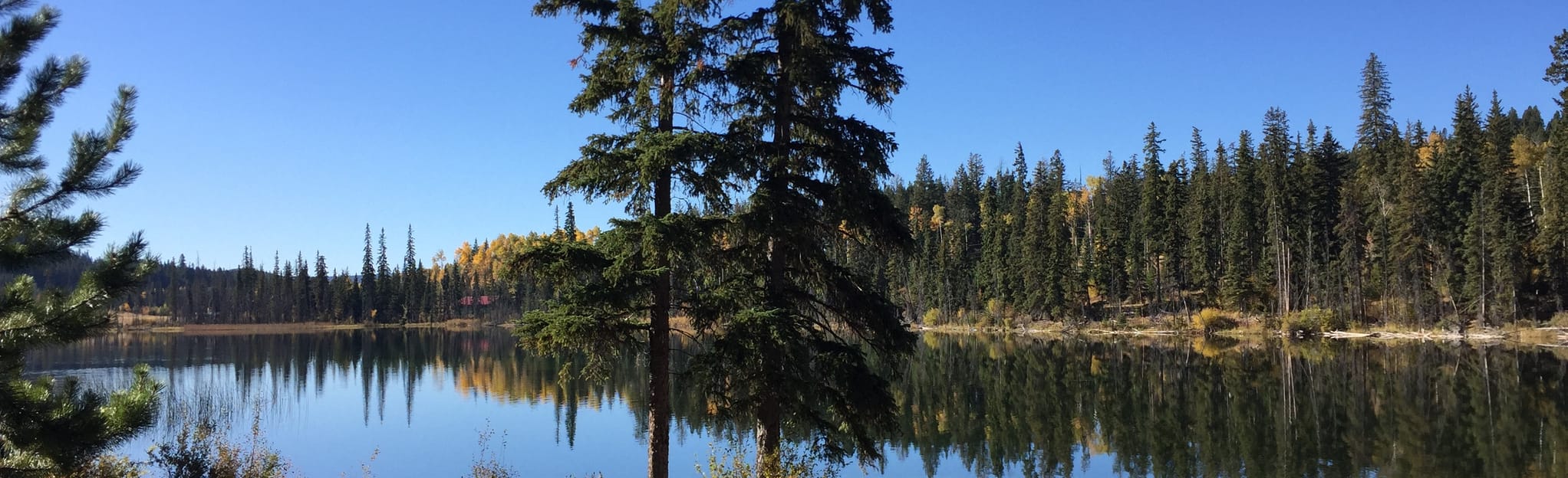 Stake Lake Lookout Loop, British Columbia, Canada - 58 Reviews, Map ...