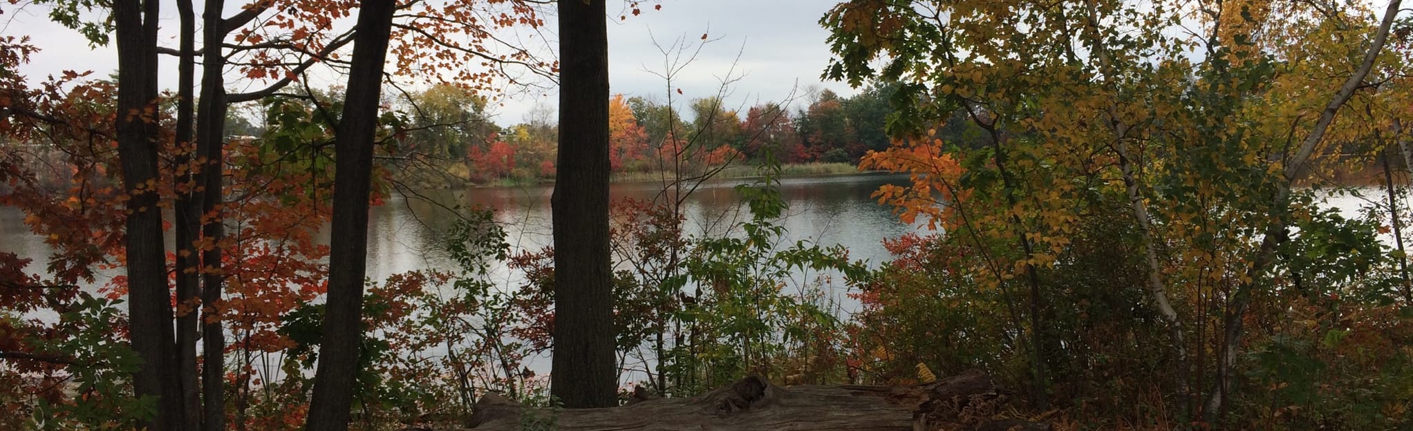 South Manchester Trail, New Hampshire - 44 Reviews, Map | AllTrails