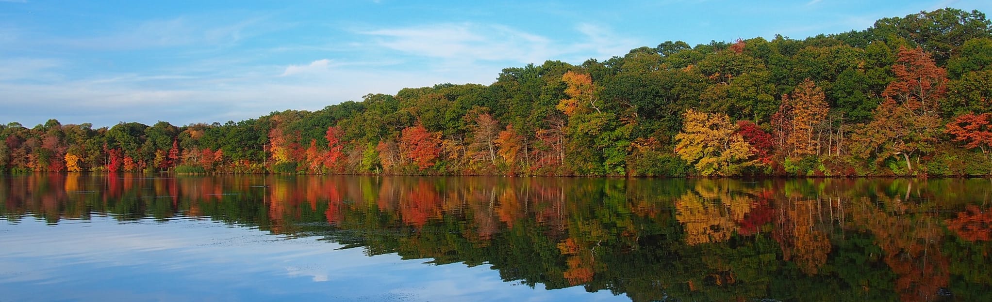 Blydenburgh County Park Stump Pond Loop: 4770 Reviews, Map - New York ...