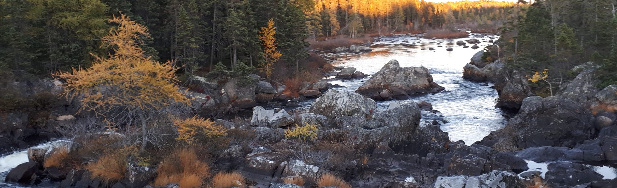 Middle Brook Trail, Newfoundland and Labrador, Canada - 50 Reviews, Map ...