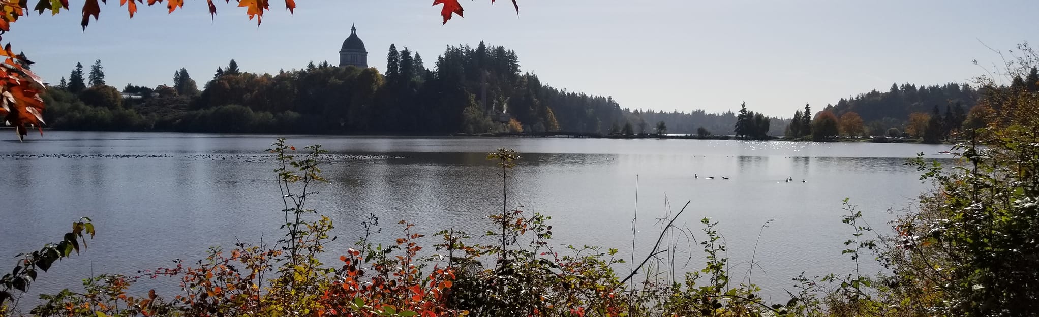 Capitol Lake Trail, Washington - 588 Reviews, Map | AllTrails