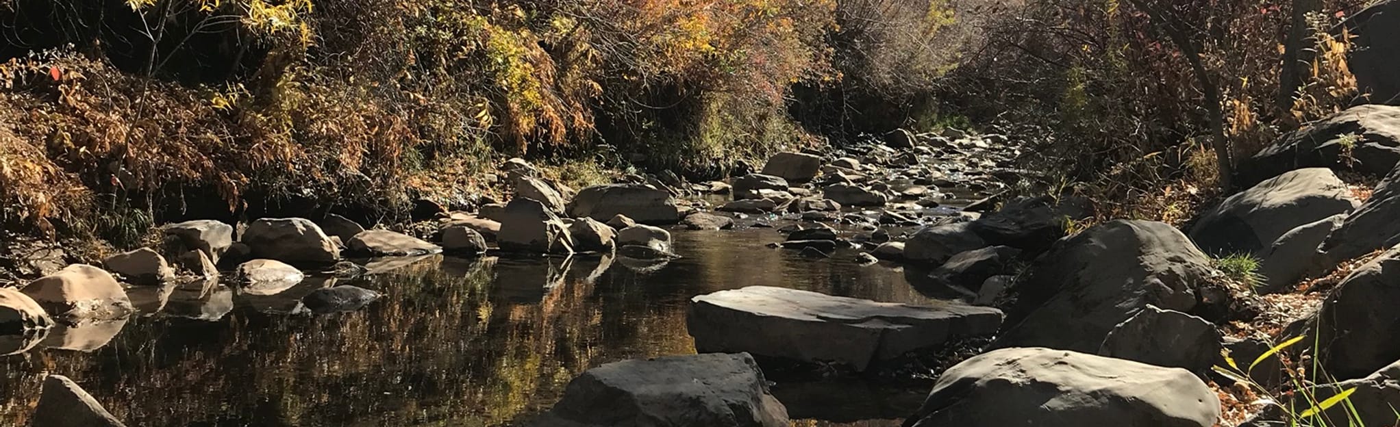 Dripping Rock Falls, Utah - 646 Reviews, Map | AllTrails