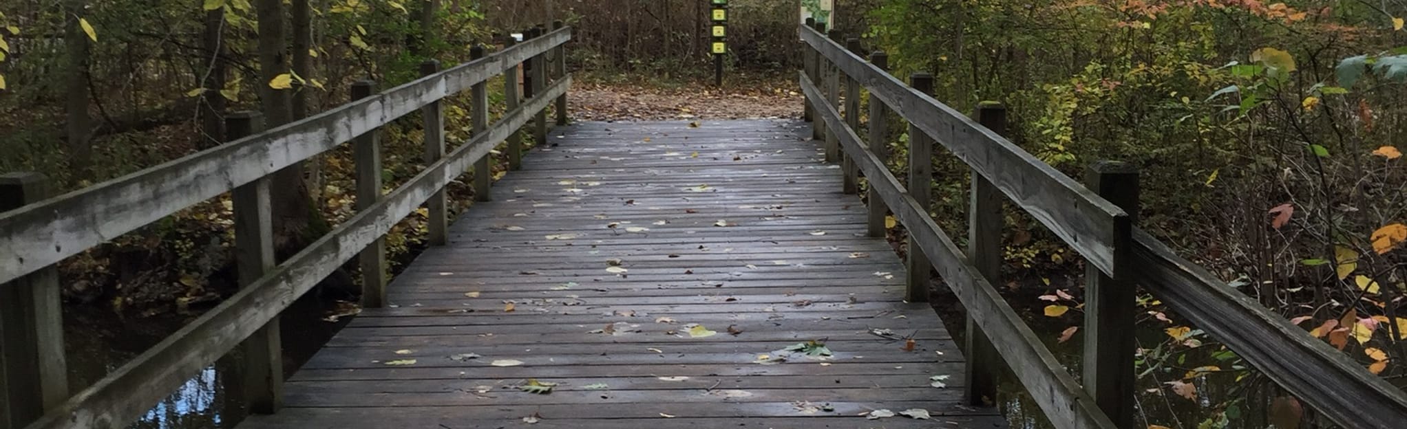 Habitat Trail Loop, Michigan - 445 Reviews, Map | AllTrails