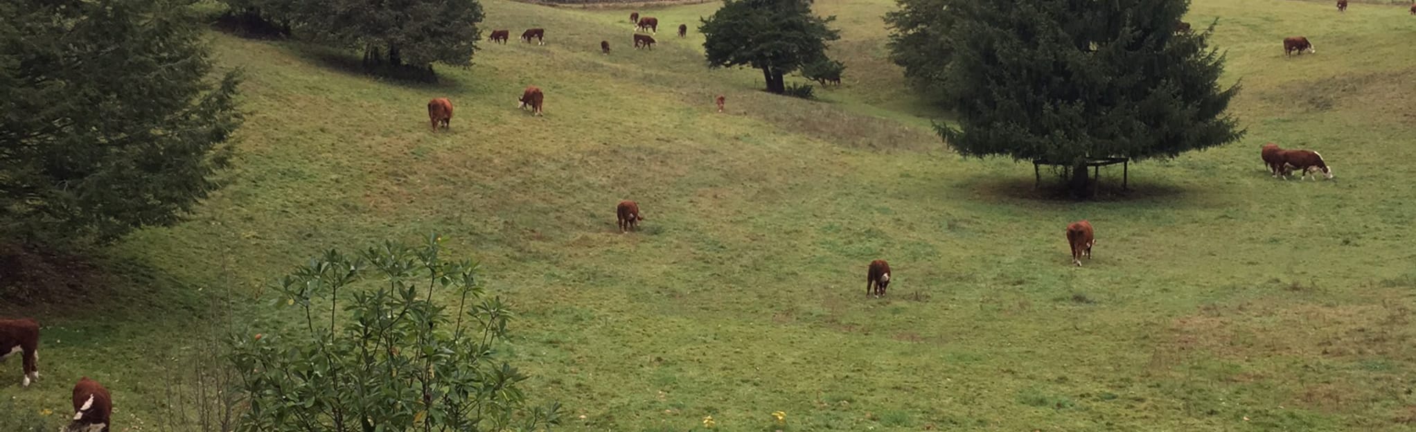 Farm Pond Loop, Massachusetts - 22 Reviews, Map | AllTrails