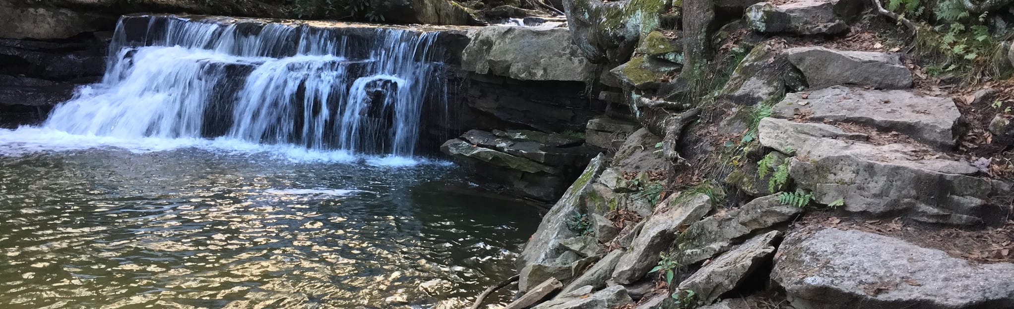 Swallow Falls Canyon Trail: 1762 Reviews, Map - Maryland | AllTrails