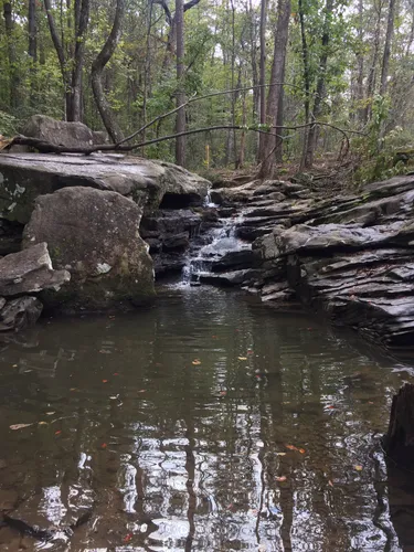 Best Hikes and Trails in Moss Rock Preserve | AllTrails