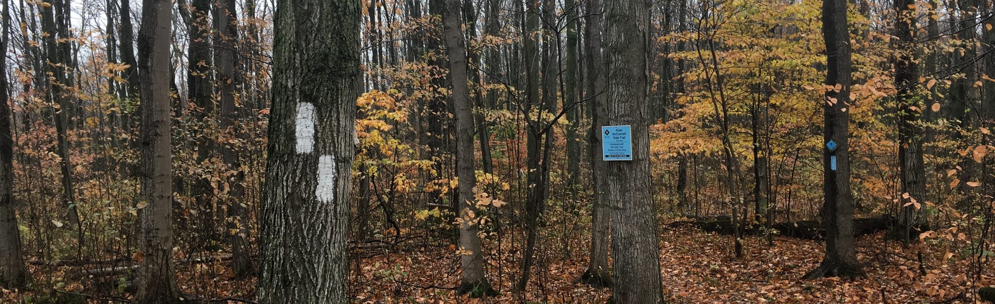 Osler Bluffs Loop, 23 Fotos - Ontario, Kanada | AllTrails