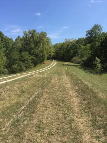 10 Best Hikes and Trails in Kickapoo State Park | AllTrails