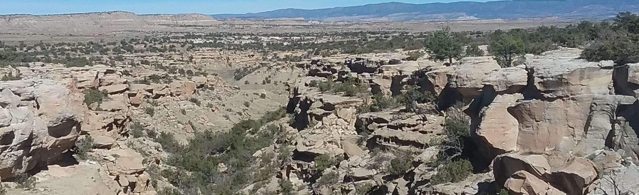 La Lena Wilderness Study Area, New Mexico - 6 Reviews, Map | AllTrails