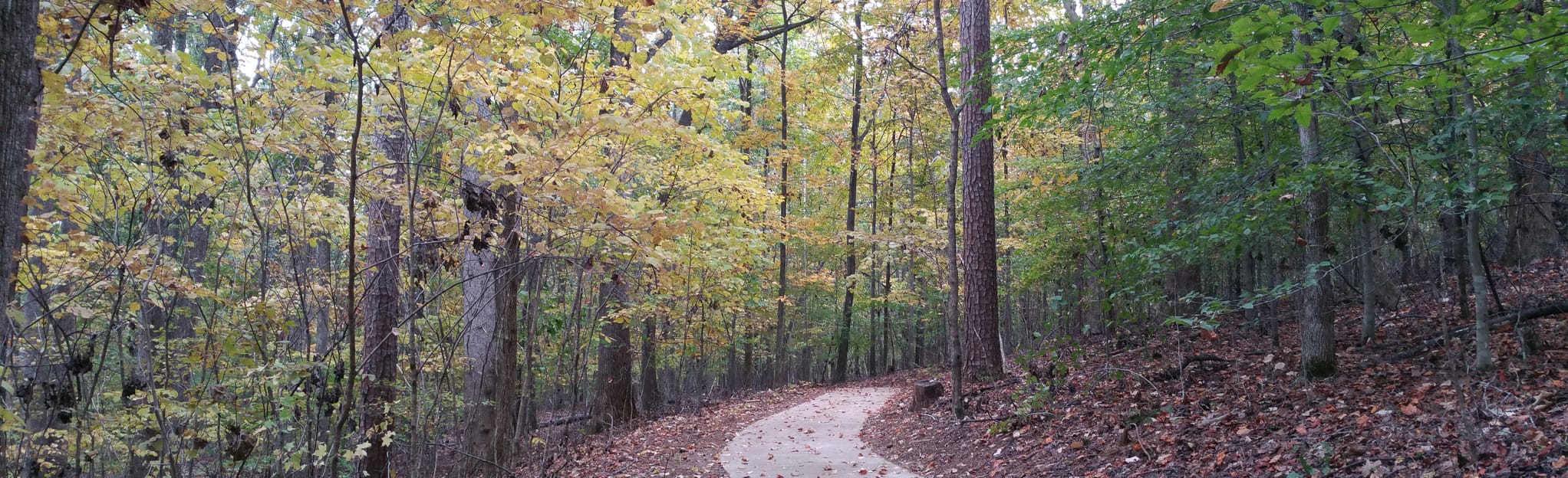 Ravine Loop Trail, Georgia - 442 Reviews, Map | AllTrails