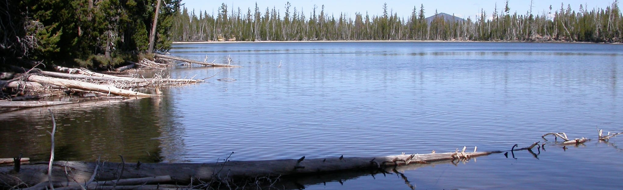 PCT: OR Section D - Highway 138 to Highway 58 (Willamette Pass), Oregon ...