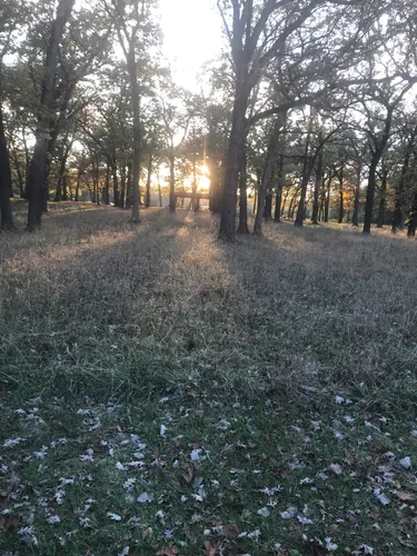 10 Best Hikes and Trails in Tinley Creek Forest Preserve | AllTrails