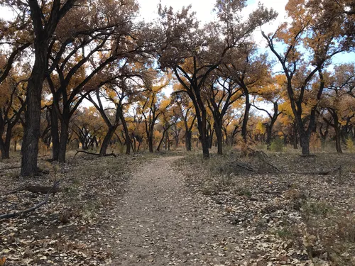 10 Best Hikes and Trails in Rio Grande Bosque | AllTrails