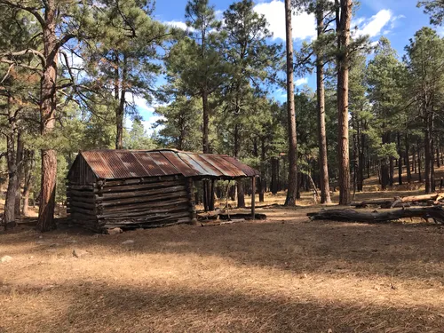 10 Best Trails and Hikes in Happy Jack | AllTrails