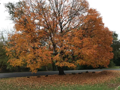 10 Best Trails and Hikes in Rome | AllTrails