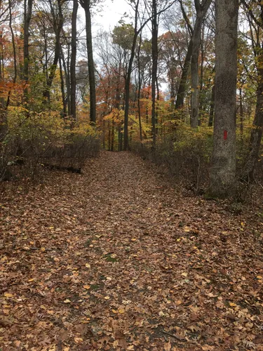 10 Best Trails and Hikes in Reading | AllTrails