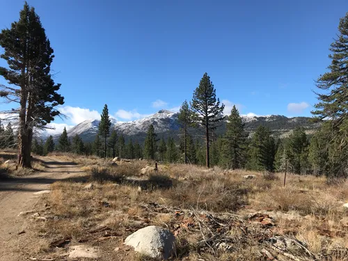 10 Best Snowshoeing Trails in Humboldt-Toiyabe National Forest | AllTrails