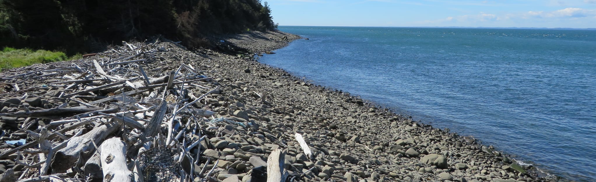 North Trail: Grand Manan, New Brunswick, Canada - 11 Reviews, Map ...