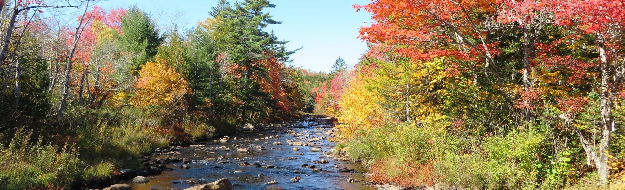 Loch Alva, New Brunswick, Canada - 5 Reviews, Map | AllTrails