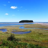 Martin Head, New Brunswick, Canada - 17 Reviews, Map | AllTrails
