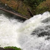 Blue Hole Falls and Evergreen Falls, Oregon - 13 Reviews, Map | AllTrails