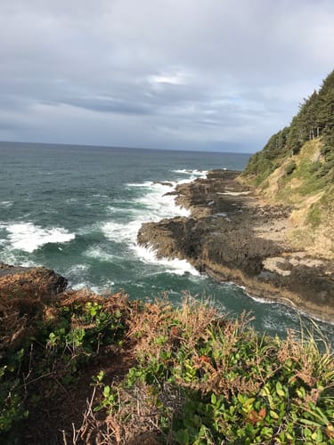 Best 10 Hikes and Trails in Cape Perpetua Scenic Area | AllTrails