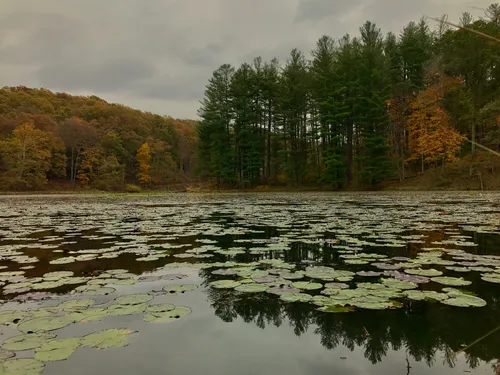 10 Best Hikes and Trails in Lake Hope State Park | AllTrails