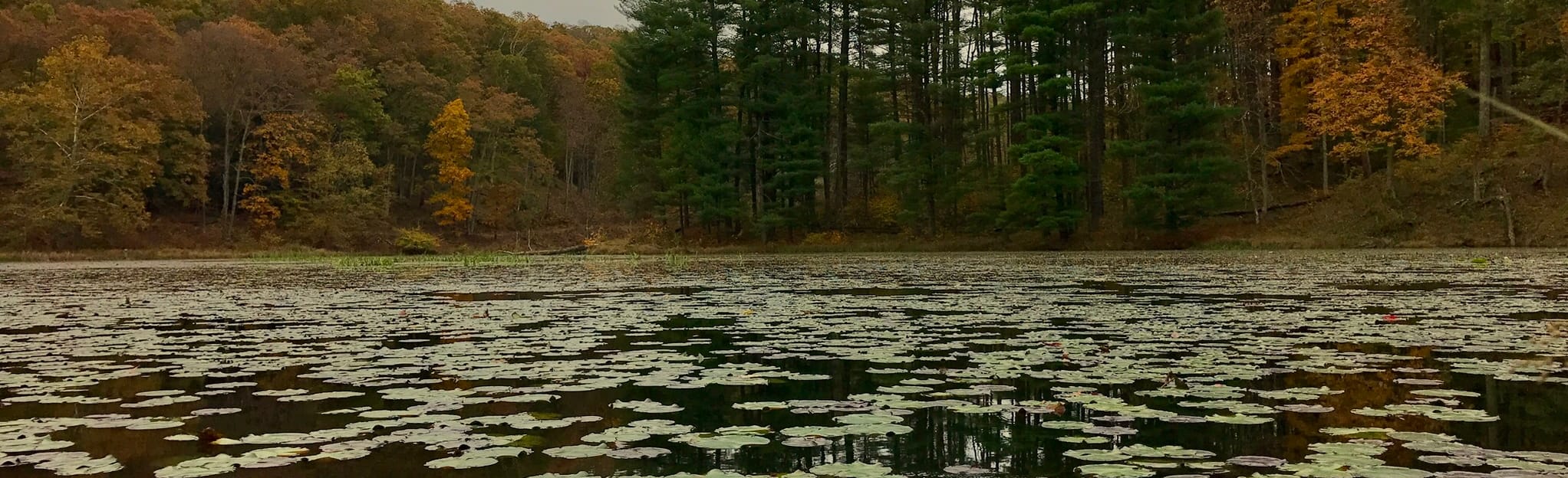 Pennisula Trail at Lake Hope, Ohio - 257 Reviews, Map | AllTrails