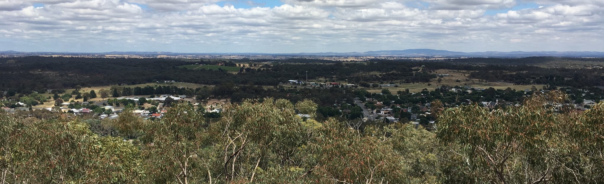 Devils Cave Loop: 184 fotos - Victoria, Australia | AllTrails