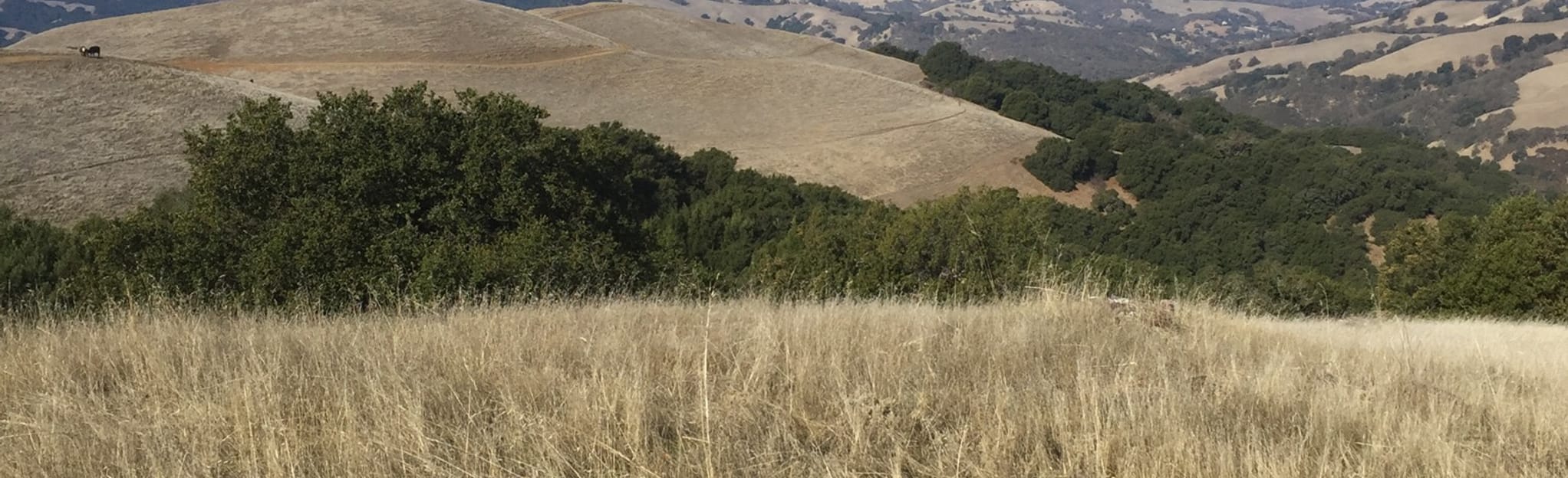 Highland Ridge, Raven and Fox Trail Loop, California - 30 Reviews, Map ...