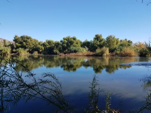 Best Fishing Trails in Tonto National Forest | AllTrails