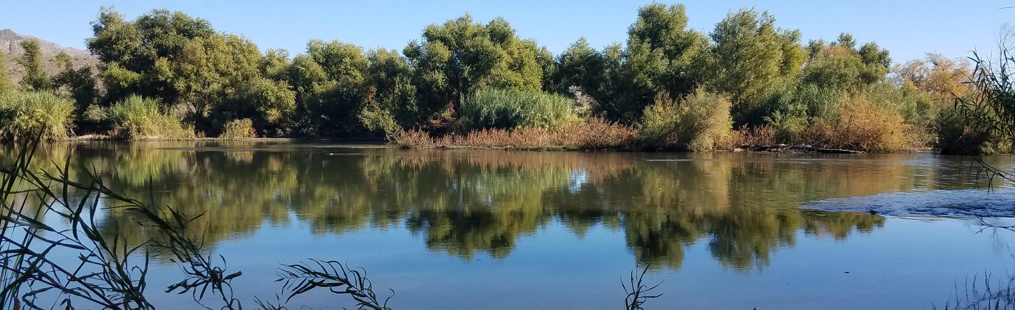 Needle Rock, Arizona - 54 Reviews, Map | AllTrails