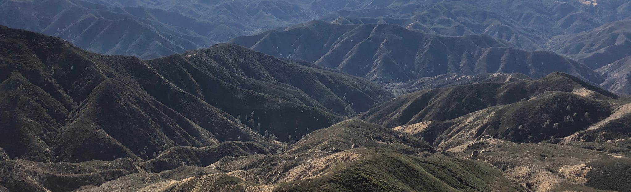 Potrero Canyon Trail: 32 Reviews, Map - California | AllTrails