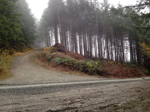 10 Best Trails and Hikes in Sedro-Woolley | AllTrails